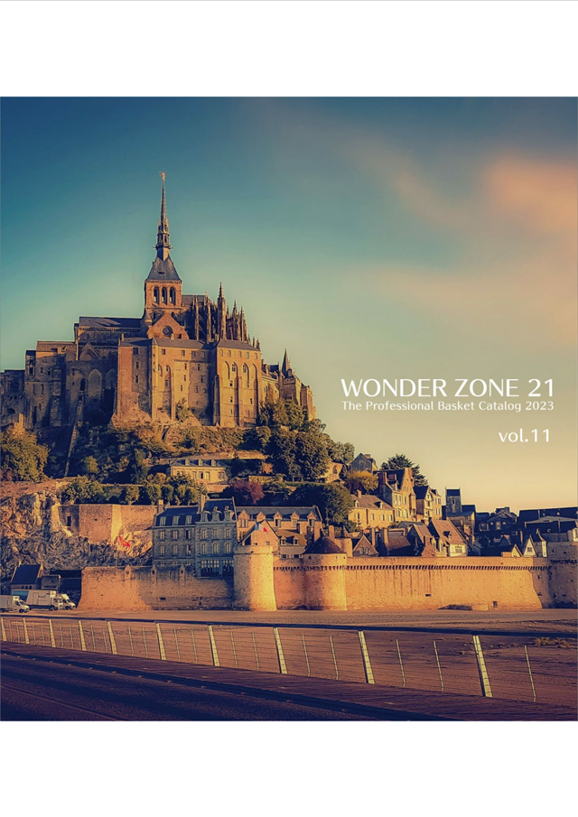 WONDER ZONE 21 vol.11 | カタログ